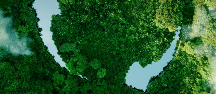 Inicio - Chapter Zero